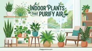 10 Best Indoor Plants That Actually Purify the Air in Your Home in 2026